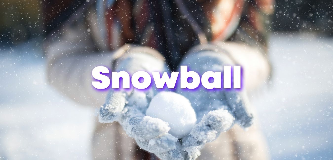 Debt Snowball Method | Debt Paydown Challenge - Ostrich